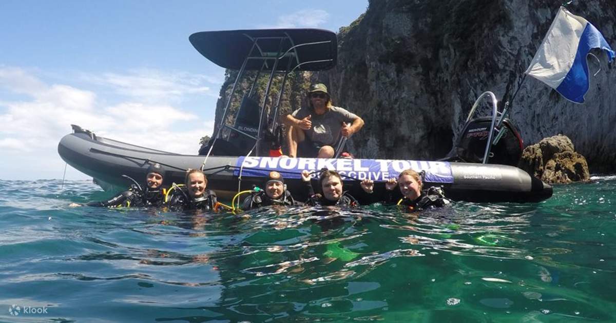 參加哈海 Padi 開放水域潛水員課程學習潛水 Klook香港